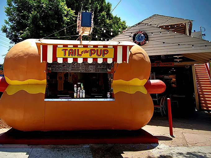 Holy hot dog, Batman! Tail O' the Pup is back and better than ever, serving up nostalgia and deliciousness in equal measure.