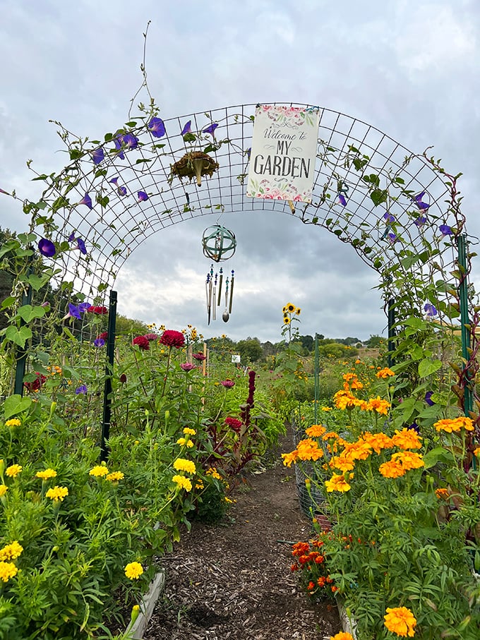 Nature's red carpet moment! This floral archway invites you to strut your stuff through a rainbow of blooms.