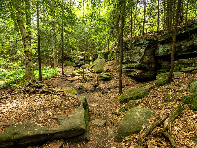 The Ledges: where Mother Nature flexes her sculpting skills. These moss-covered giants are like the Stonehenge of Ohio, minus the mystery.