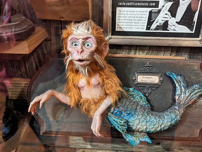 Meet the mermaid-monkey hybrid that puts evolution in a blender. It's like Darwin's theory took a detour through Wonderland!