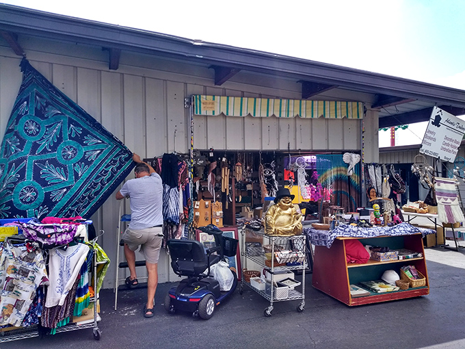 Step right up to the carnival of commerce! Traders Village Grand Prairie mixes shopping and thrill rides for a uniquely Texan adventure.