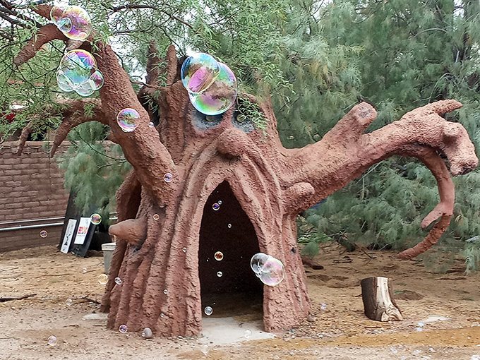 Wonderland in the desert! This enchanted tree looks ready to whisper secrets of the universe... or offer you a magic potion.