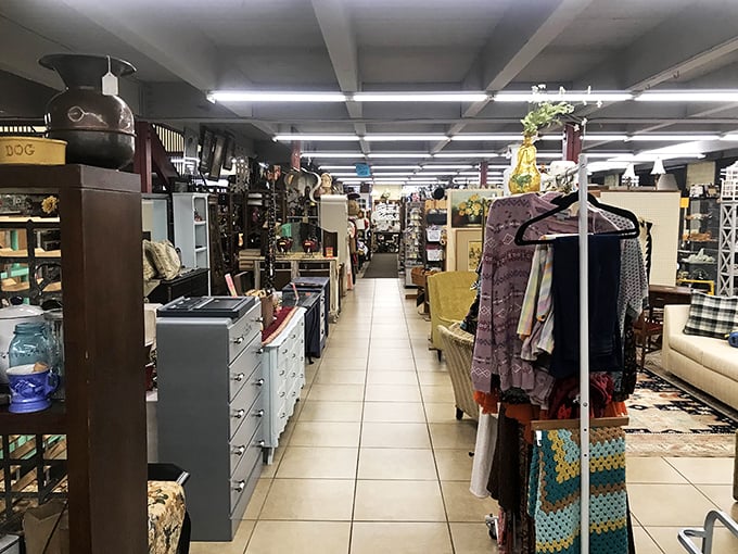 Visalia Vintage & Antiques: Where "window shopping" means peering into the past through actual vintage windows.