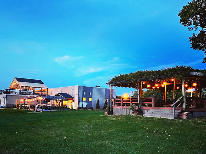 Nightfall at Alto Vineyards transforms the place into a magical wonderland. It's like Cinderella's ball, but with better drinks and no pesky midnight curfew.