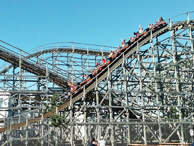 Defying gravity and budget constraints. Bay Beach's Ferris wheel offers million-dollar views at piggy bank prices.