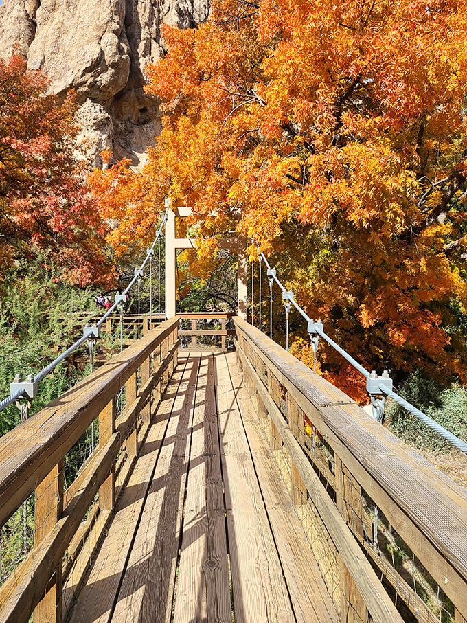 Fall in love with fall all over again! Autumn paints this wooden bridge with a palette that would make Bob Ross weep with joy.