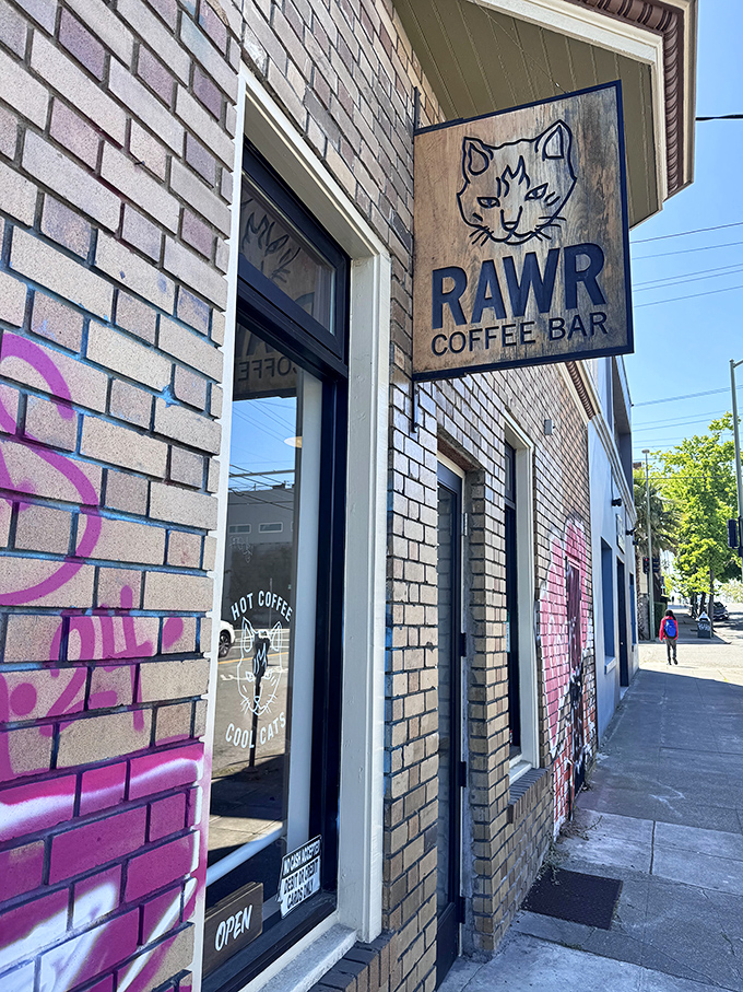 Forget the tech startups, Oakland's hottest incubator is for furry entrepreneurs. This cafe is where cats go to launch their influencer careers.