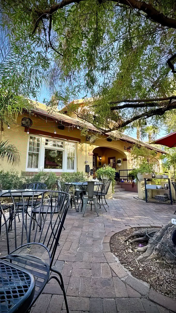 Twinkling lights, lush greenery, and pizza that'll transport you straight to Naples. Who needs a passport when you've got Cibo?