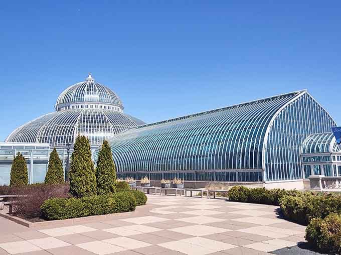 Como Park's glass palace: where Minnesota nice meets tropical spice. A greenhouse getaway that'll have you saying "You betcha" to orchids.