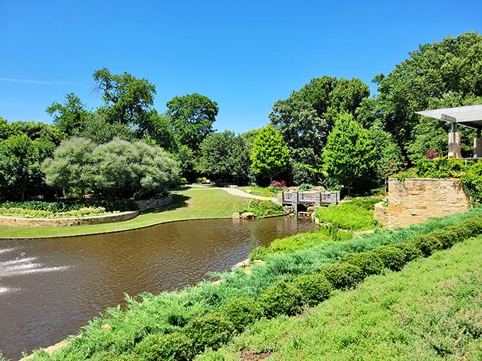 A serene stream winds through lush greenery. It's like Mother Nature's version of a lazy river, minus the inner tubes.