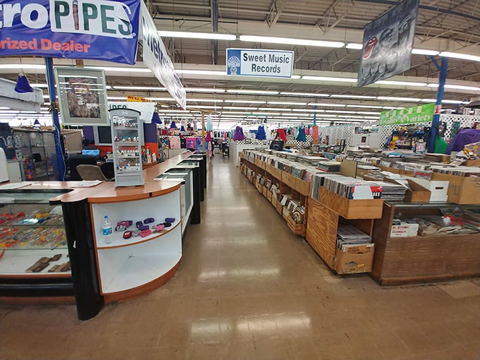 Vinyl paradise or vintage valhalla? Dixieland's aisles are a treasure trove for music lovers and nostalgia seekers alike.