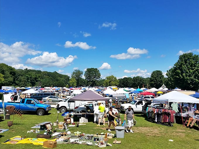 Winter wonderland of weird and wonderful! Elephant's Trunk in the colder months is a frosty feast for the eyes and wallet.