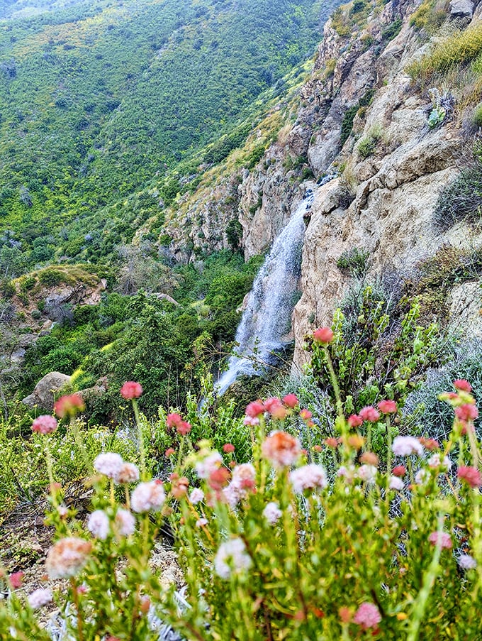 Malibu's best-kept secret: a 150-foot waterfall catwalk that puts Hollywood to shame. No red carpet required!