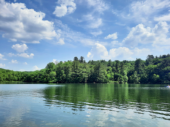 Mirror, mirror on the lake: This glassy surface reflects the trees so perfectly, you'll wonder which way is up!