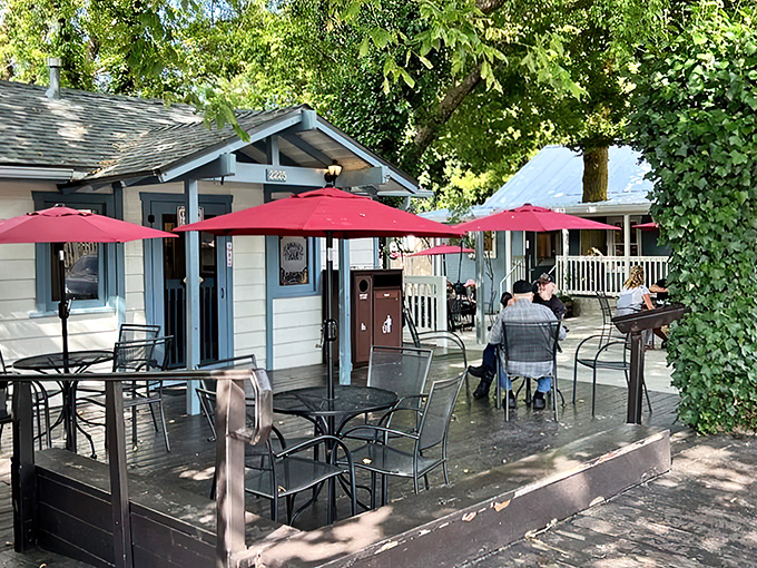 Red umbrellas and mountain air – Julian Pie Company serves up slices of Americana with a side of nostalgia.