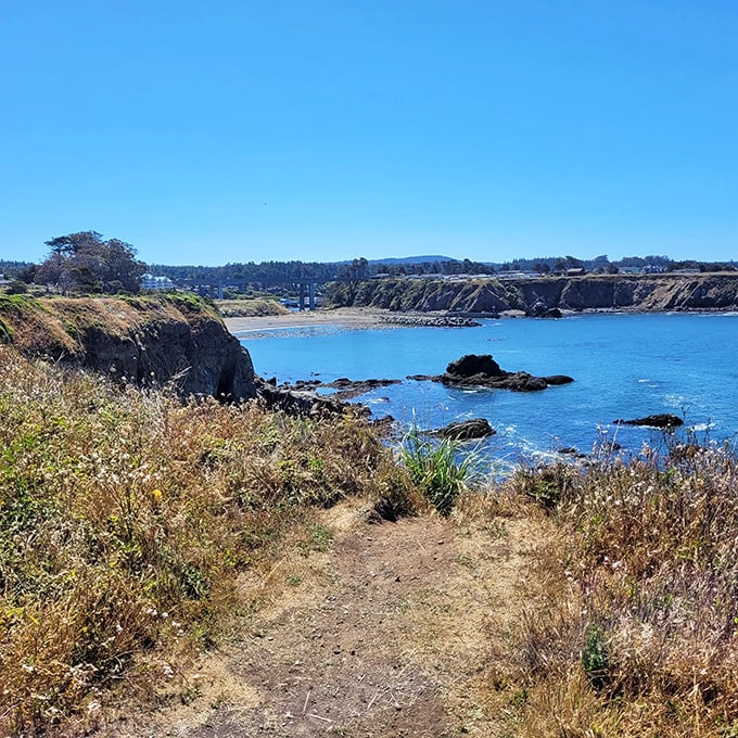 Ocean vistas that'll make your camera beg for mercy. It's like Mother Nature's own IMAX, minus the overpriced popcorn.