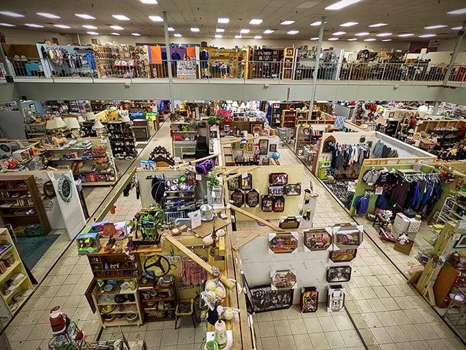 Two floors of organized chaos! This isn't just shopping; it's time travel with price tags. Bring your walking shoes and sense of adventure!