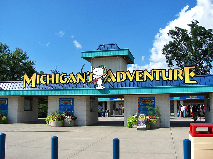 Shivering Timbers looms large, promising wooden coaster thrills. Hope you didn't overdo it at the funnel cake stand!