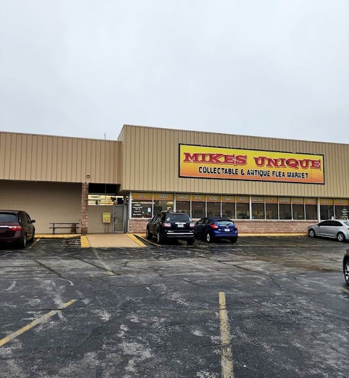 At Mike's Unique, every aisle is a new adventure. It's like your eccentric uncle's attic, but with price tags and better lighting.