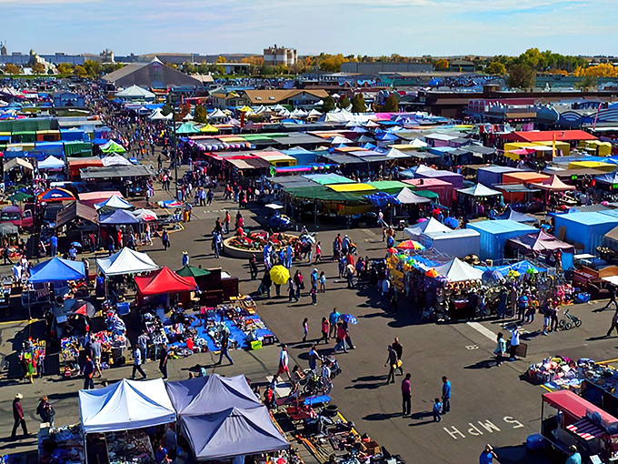 Bird's eye view of bargain heaven! It's like Where's Waldo, but instead of Waldo, you're searching for that perfect vintage find.