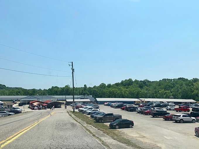 Flea market or time machine? This sprawling lot holds more stories than a library and more surprises than a magician's hat.