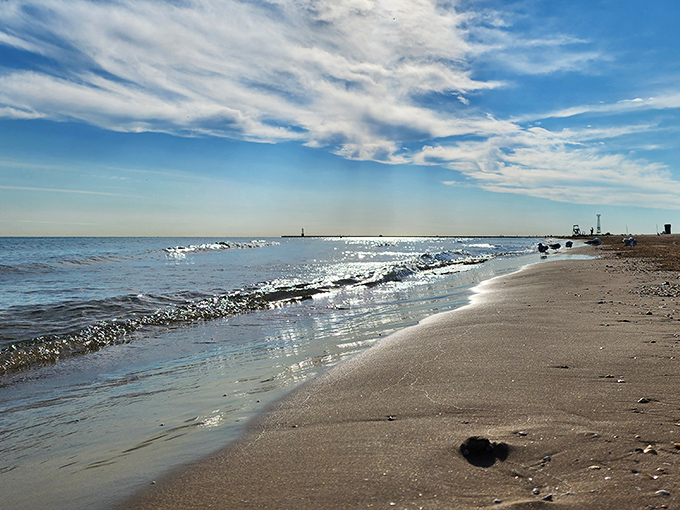 Urban meets beach bum at Montrose. It's like someone sprinkled Caribbean sand right next to the Windy City's concrete jungle.