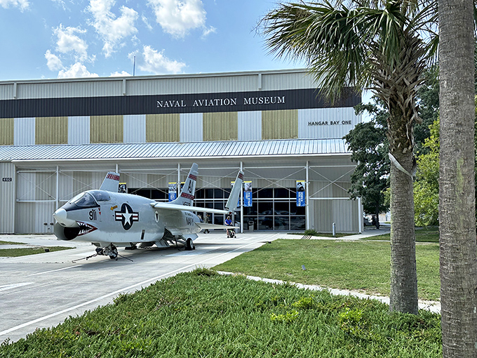 From propellers to jets, the Naval Aviation Museum's hangar is a time capsule of aerial innovation. No flux capacitor needed!