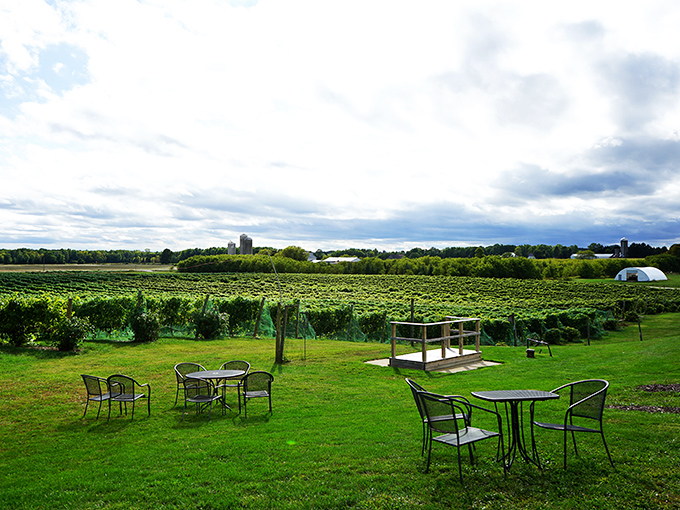 Wine with a view! Parallel 44's rolling hills might make you forget you're in Wisconsin... until you spot a cheese curd.