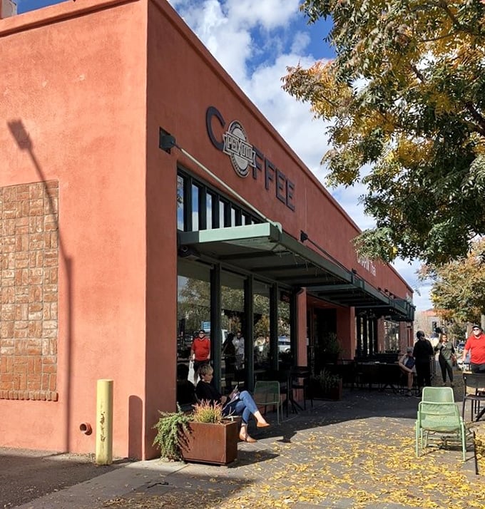 At Peixoto, the cold brew is cooler than a polar bear's toenails. It's like Arizona's heat never stood a chance!