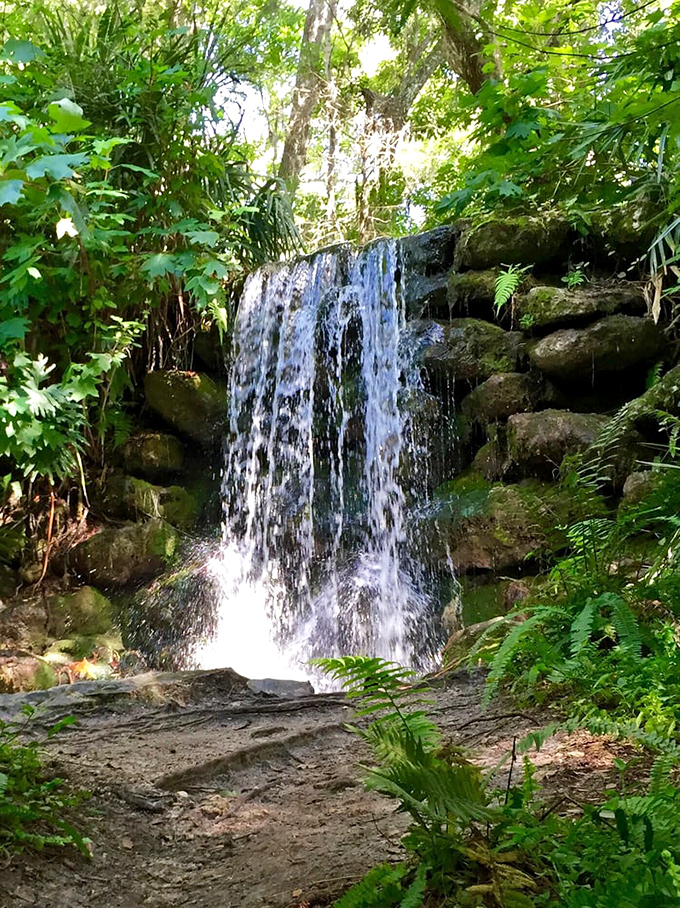 Crystal clear and oh-so-inviting! This waterfall scene is so pristine, you'll be tempted to dive in &ndash; just remember to leave the soap at home.