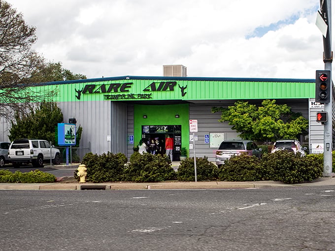 Bounce into a world of neon green and endless possibilities. It's like stepping into a real-life video game level.