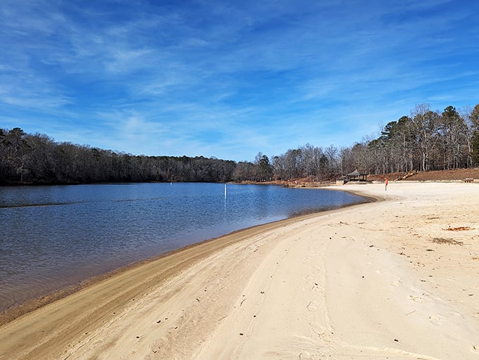 Sun-dappled waters stretch to the horizon, framed by towering pines. This ain't your grandma's beach, but she'd love it all the same.