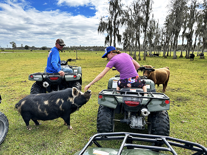 Talk about horning in on the action! Get up close with exotic animals at Safari Wilderness Ranch.