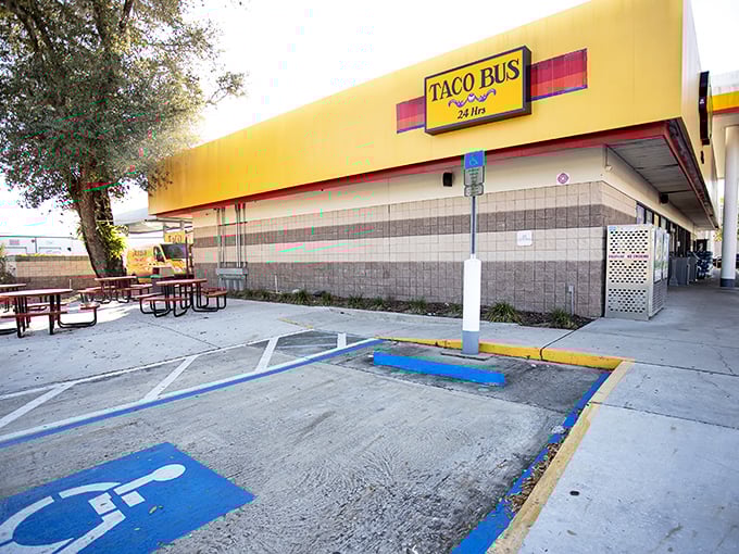 Forget magic school buses &ndash; this yellow beauty transports you straight to flavor town! Tampa's Taco Bus serves up street food so authentic, you'll be checking your passport.