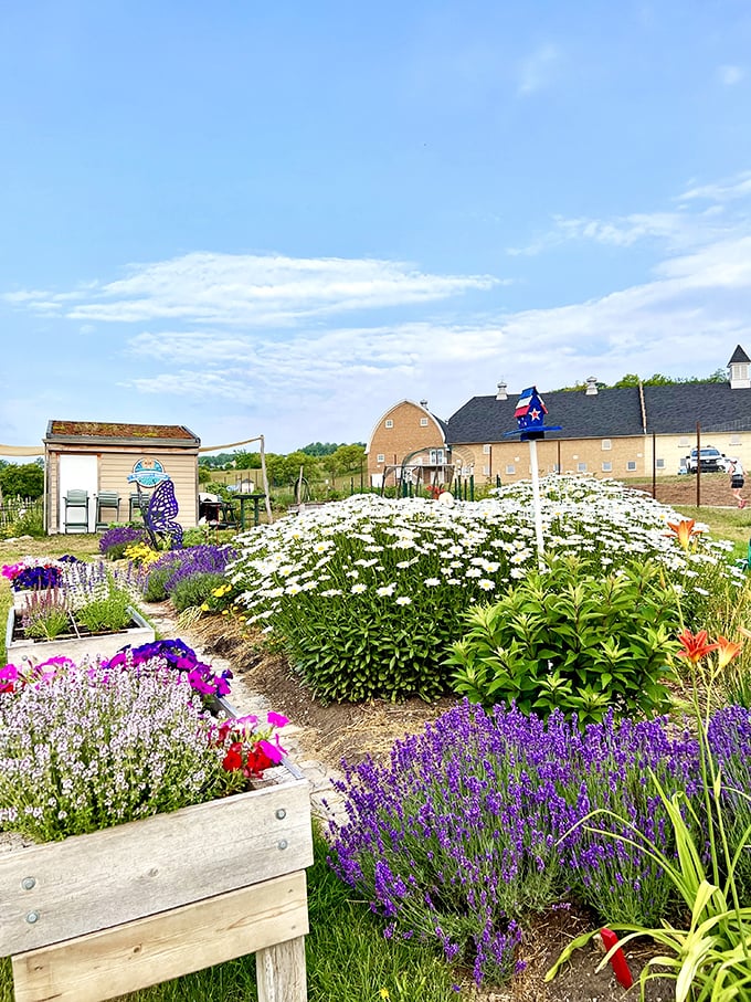 "Welcome to MY Garden," says Mother Nature. With colors this vibrant, she's clearly been taking design tips from Willy Wonka.