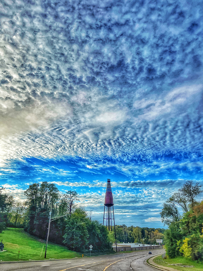World's Largest Catsup Bottle: "Is it a bird? A plane? No, it's super-sized sauce! This colossal catsup bottle puts the 'monumental' in condiments."
