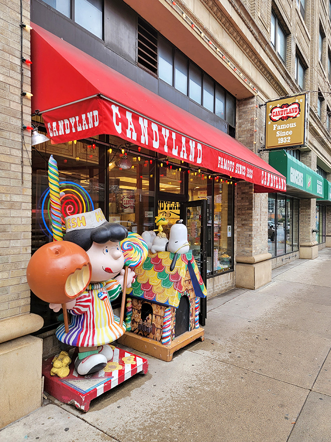 Step into a sugary wonderland where cartoon characters and popcorn machines collide. It's childhood nostalgia with a sugar rush.