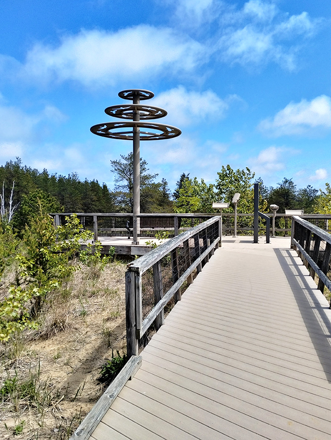 Stairway to heaven or boardwalk to bliss? This elevated path promises breathtaking views and a chance to channel your inner bird.
