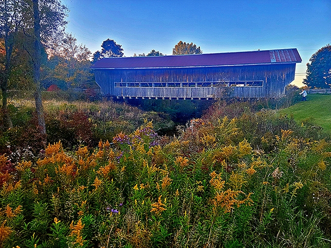 "Nature's frame game on point." This bridge doesn't just span a creek; it's the supermodel of rural infrastructure, ready for its close-up.