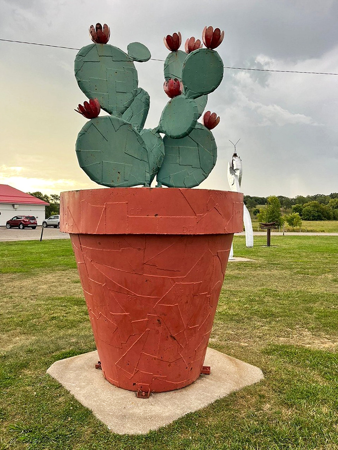 This prickly patron proves even cacti can bloom in Minnesota. Talk about defying expectations!