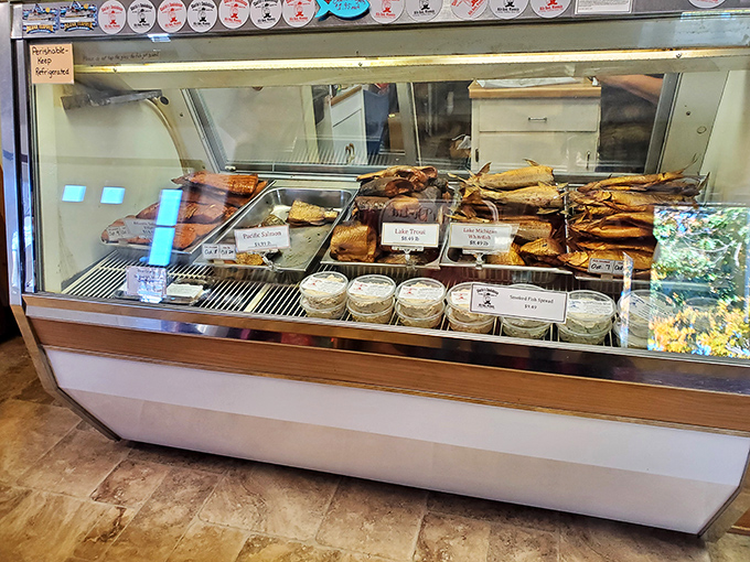 Behold, the treasure chest of the sea! This display case is like an aquatic Willy Wonka factory, minus the Oompa Loompas.