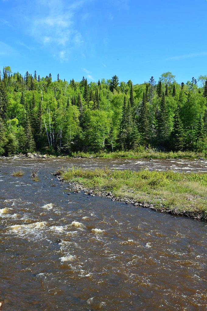 Fifty shades of green? More like fifty thousand! This lush forest is nature's own Pantone color chart come to life.