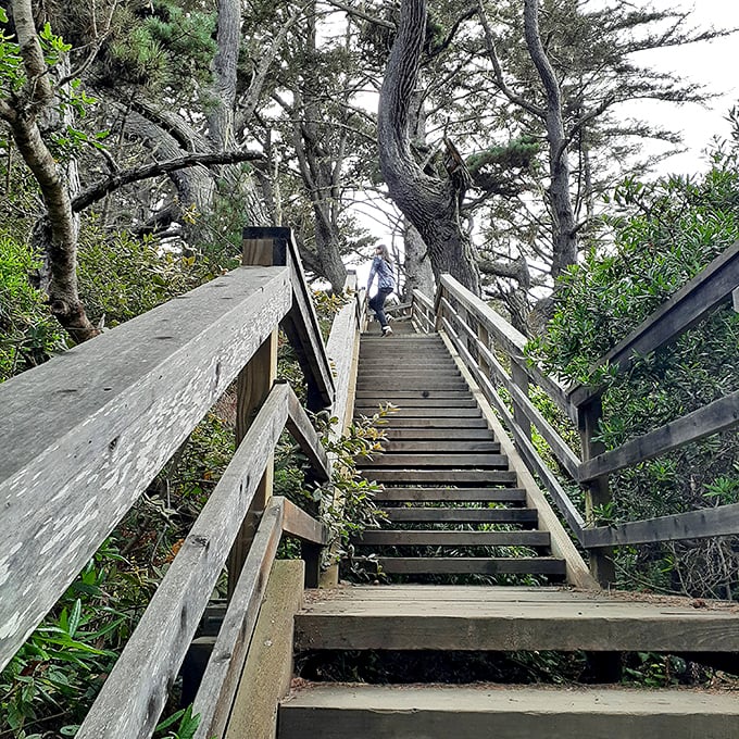 "Stairway to Heaven?" Not quite, but these wooden steps might just lead you to your own slice of coastal nirvana.