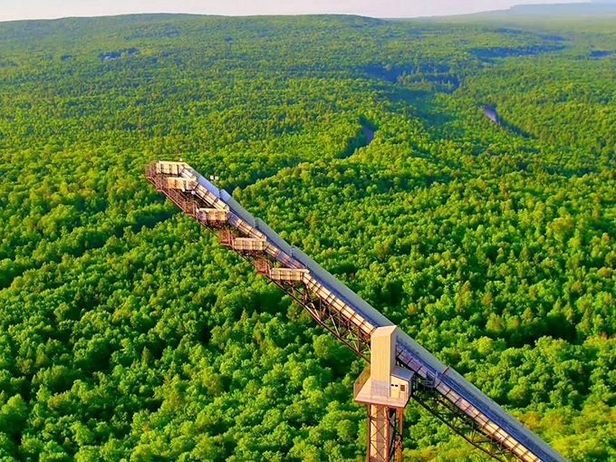 Mother Nature's green shag carpet stretches as far as the eye can see. It's like someone spilled Chia seeds across the entire Upper Peninsula!