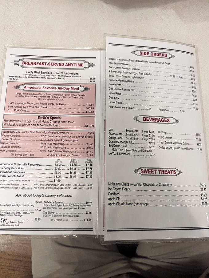 Decisions, decisions! This menu is like a greatest hits album of diner classics. Pro tip: everything pairs well with a side of friendly banter.