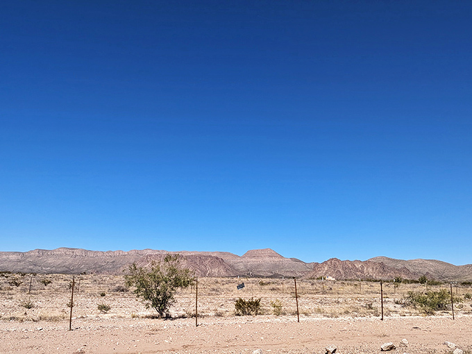 Who needs a green screen when you've got this view? The Chihuahuan Desert unfolds like a painter's masterpiece, no filter required.