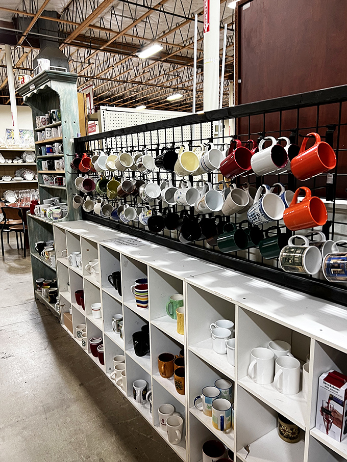 A rainbow of coffee mugs stands ready for adoption &ndash; because everyone needs that perfect morning companion.