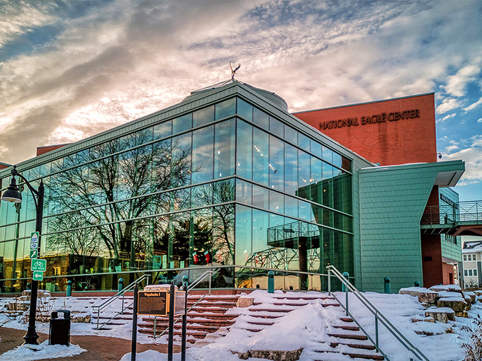 Soaring spirits: The National Eagle Center isn't just for the birds &ndash; it's a glass-and-steel nest of wonder where America's symbol takes center stage.