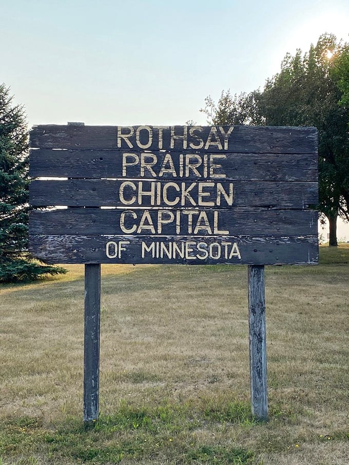 Move over, Hollywood! Rothsay's claiming its fame as the 'Prairie Chicken Capital of Minnesota.' Now that's something to crow about!