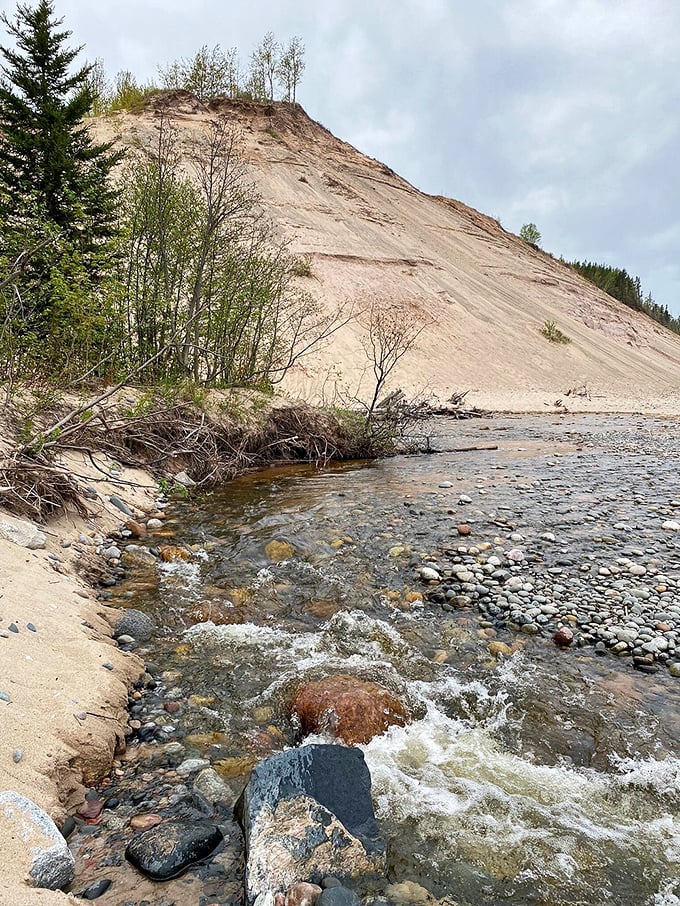 Sable Creek: Where water does its best impression of a playful puppy, bounding over rocks with unbridled enthusiasm.